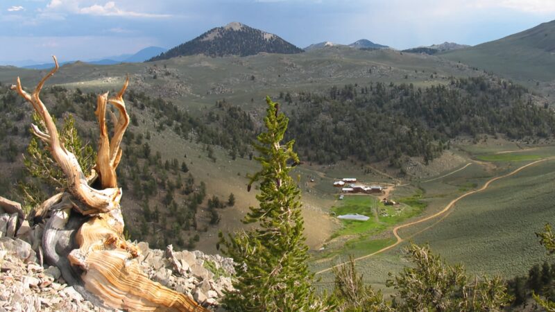 About the WMRC — White Mountain Research Center