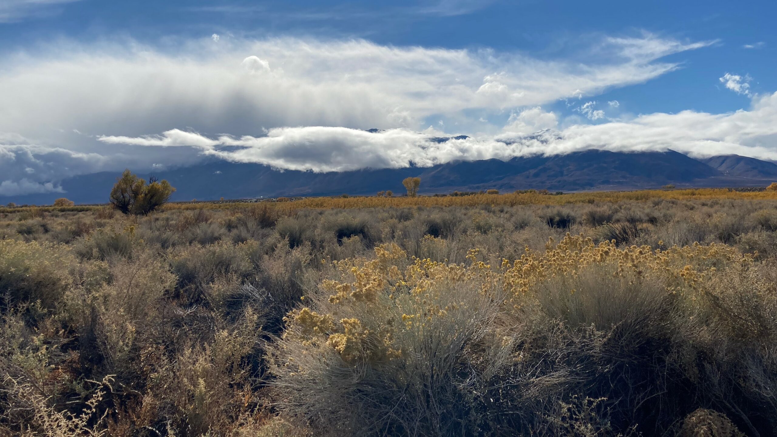 UPDATED 03/09/23: UC WMRC COVID-19 Requirements — White Mountain ...